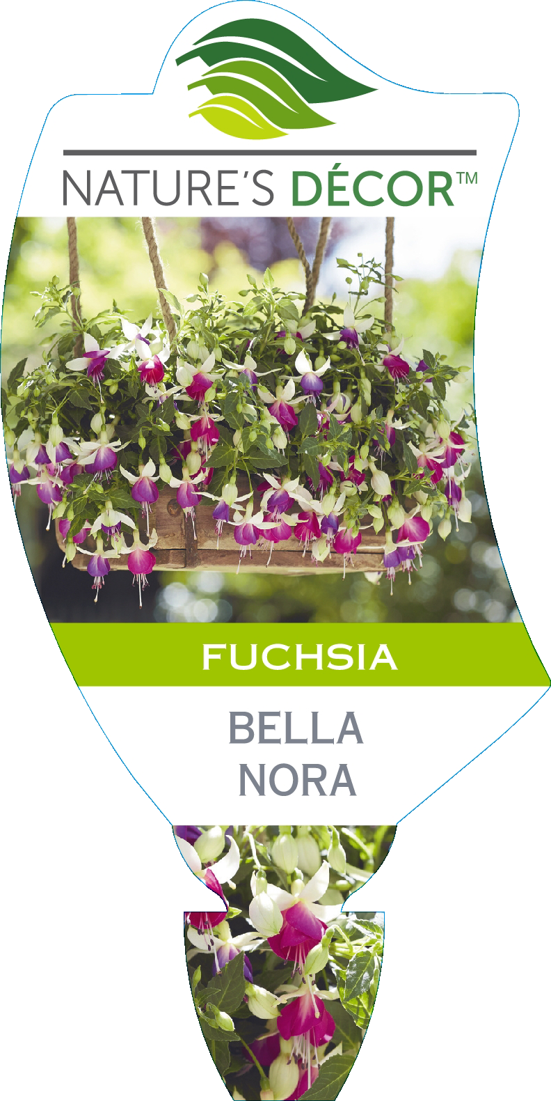 Fuchsia Bella Nora - Ball